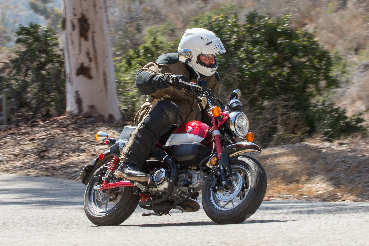 Catalina Moto Mixer: Honda Monkey First Ride | CityBike Magazine