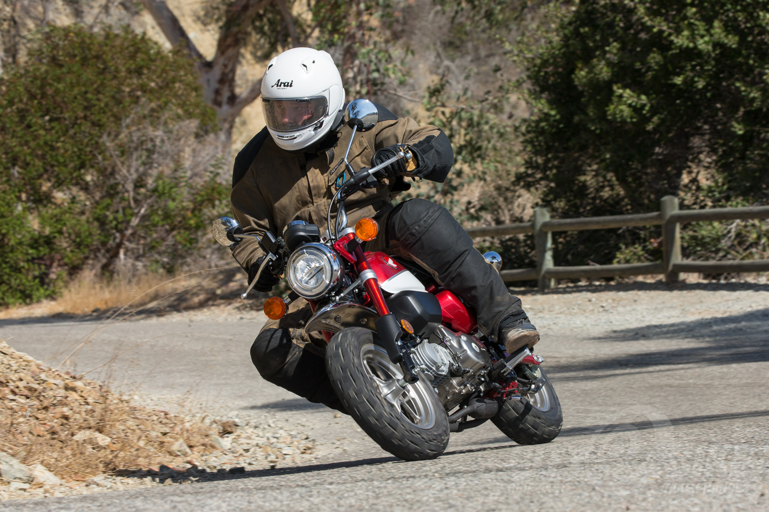 Catalina Moto Mixer: Honda Monkey First Ride | CityBike Magazine